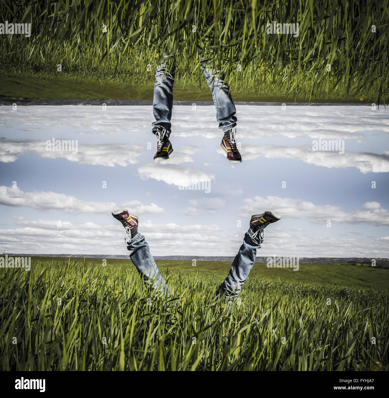 Life in foliage hi-res stock photography and images - Alamy