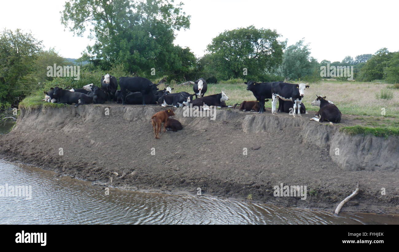 Eroded river bank Stock Photo - Alamy
