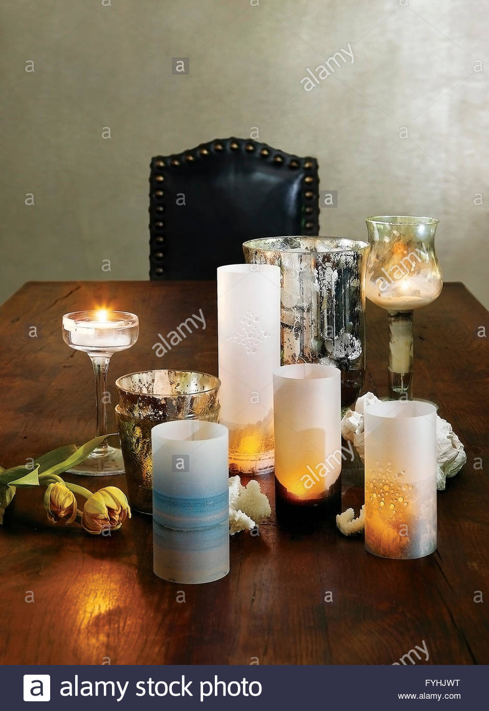 Aucuba Japonica Stock Photos & Aucuba Japonica Stock Images - Alamy