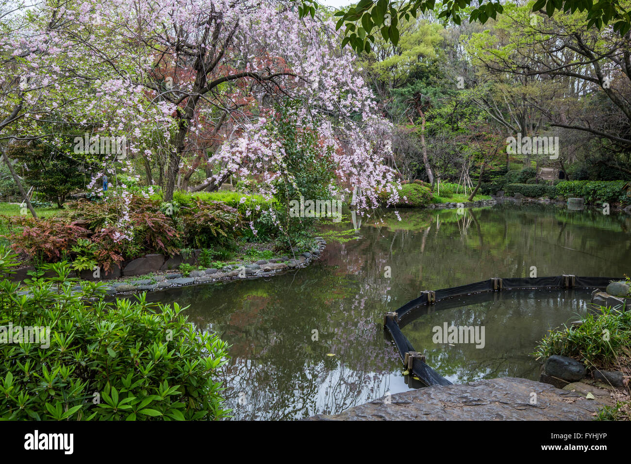 Arisugawa-no-miya Park, known as Arisugawa Park contains a lush ...