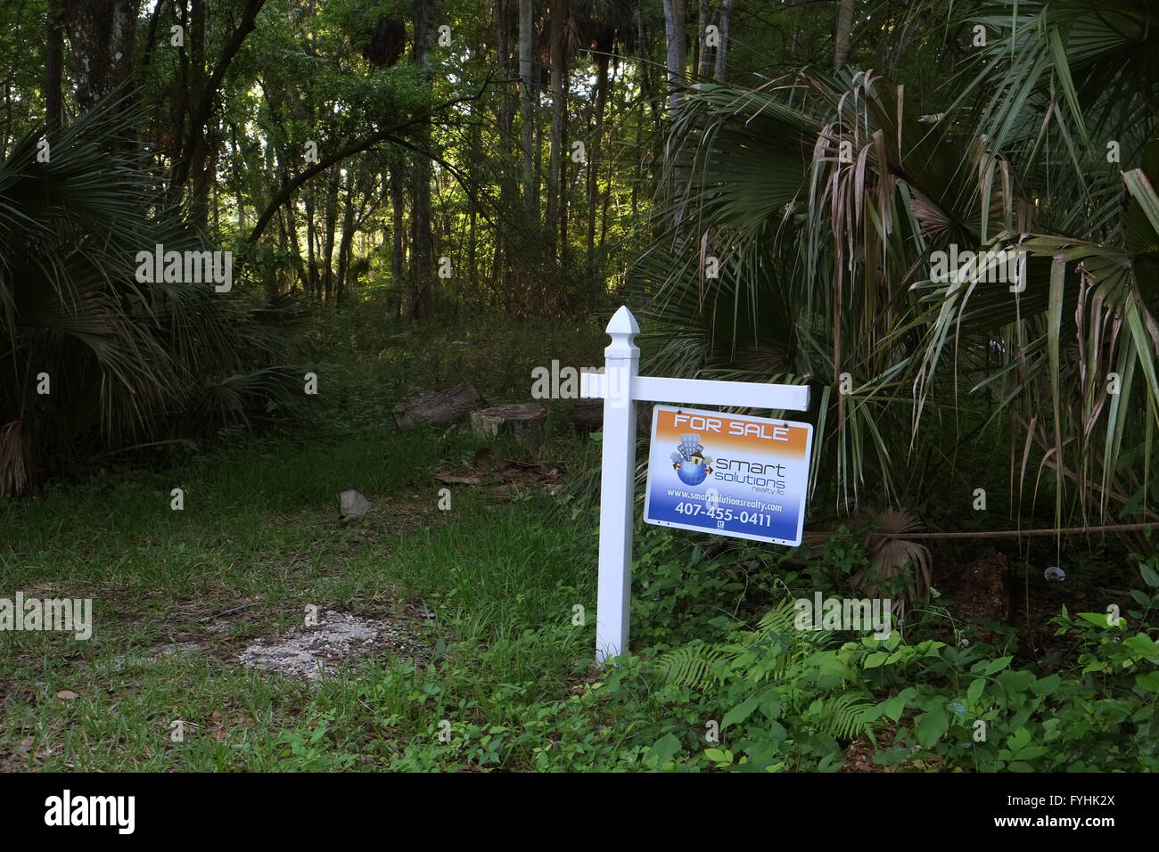 Undeveloped hi-res stock photography and images - Alamy