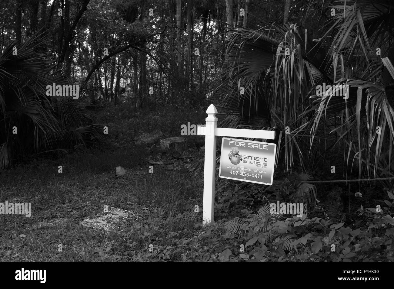 Undeveloped land Black and White Stock Photos & Images - Alamy