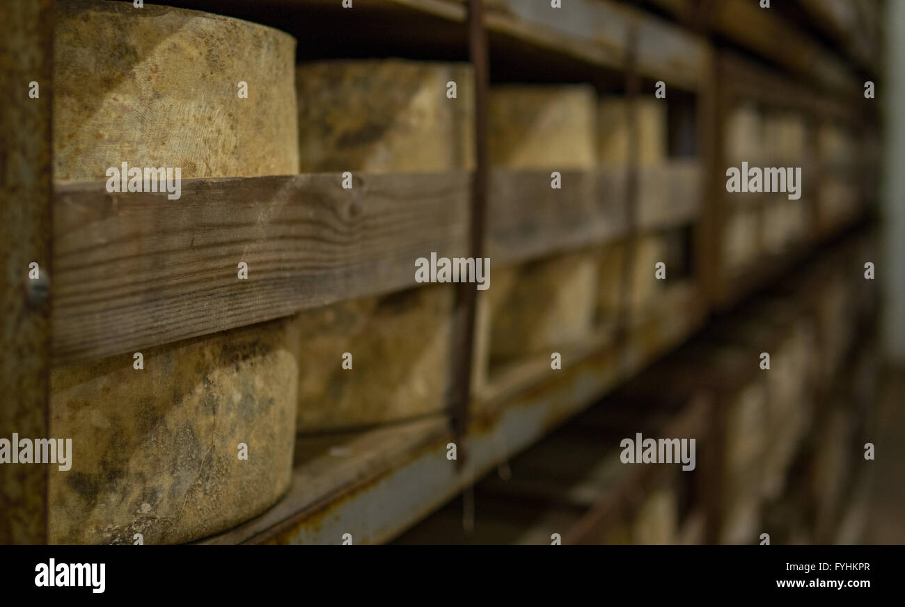 Many cheese wheels being stored in a Cheese Cathedral Stock Photo - Alamy