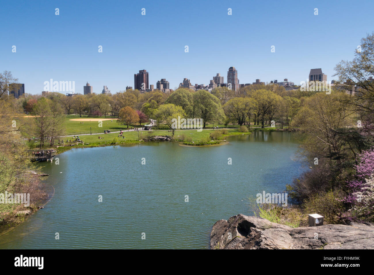 Springtime in Central Park, New York City, USA Stock Photo - Alamy