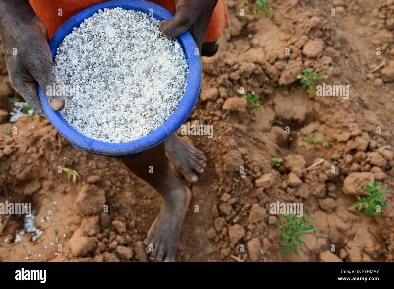 Fertilizer africa hi-res stock photography and images - Alamy