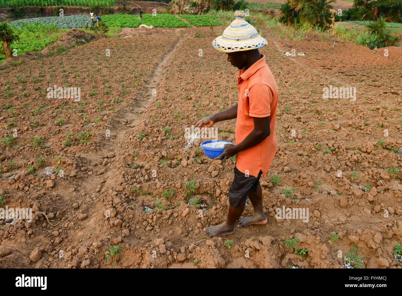 Fertilizer africa hi-res stock photography and images - Alamy