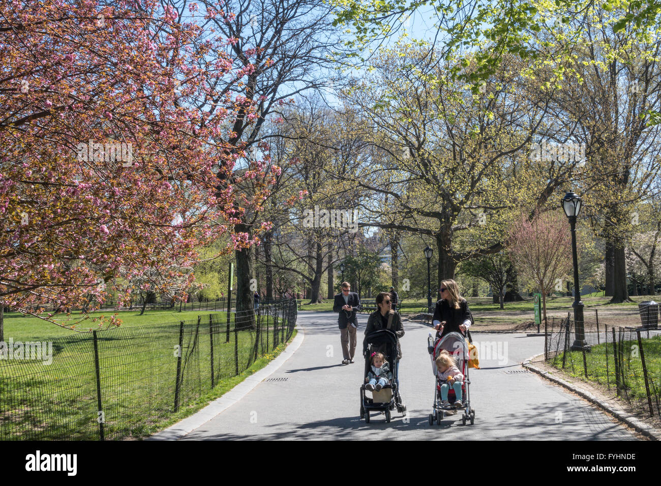 Springtime in Central Park, New York City, USA Stock Photo - Alamy