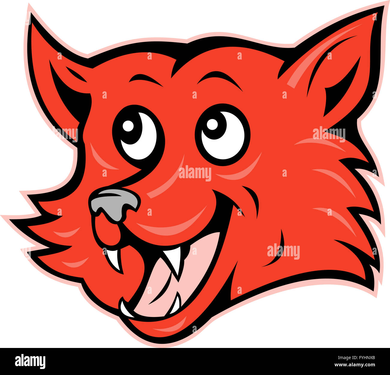 red fox head grinning smiling Stock Photo - Alamy