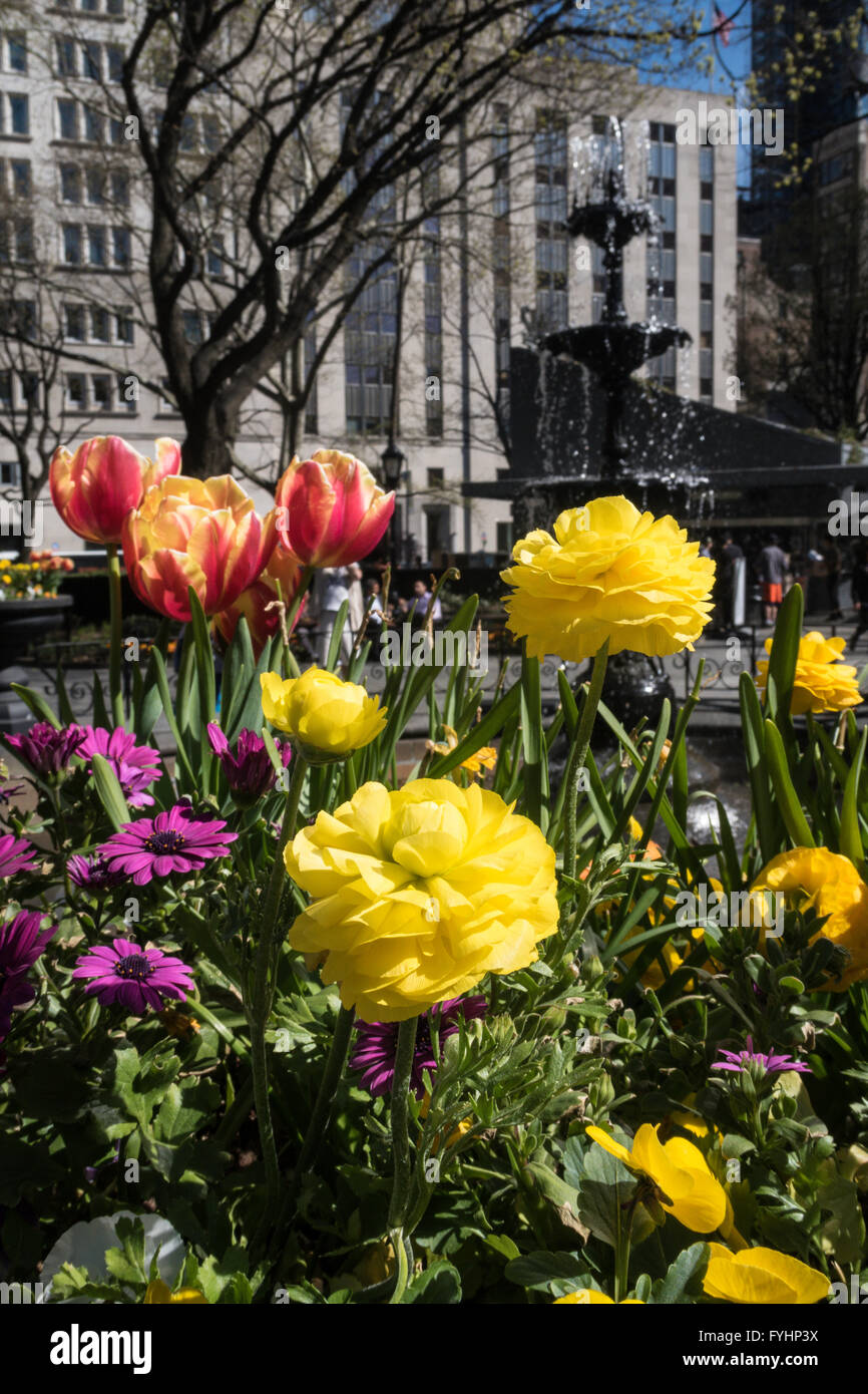 Springtime madison square park nyc hi-res stock photography and images ...