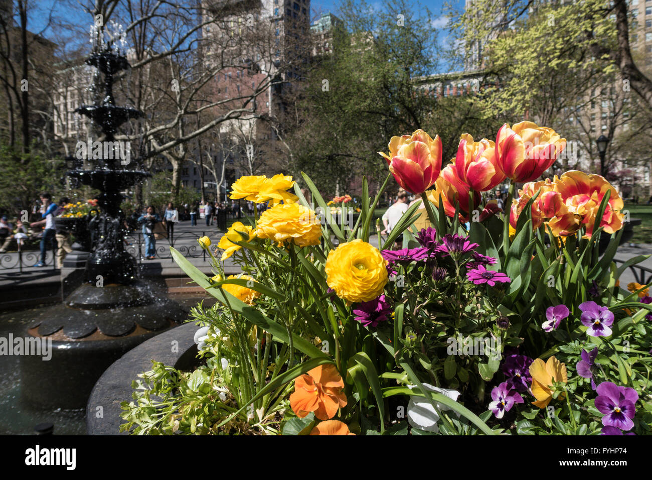 New york spring flower park avenue hi-res stock photography and images ...
