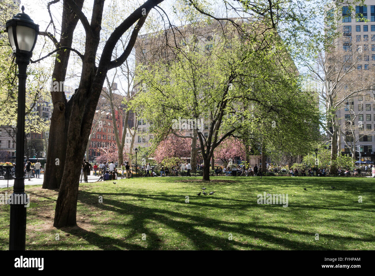 Spring Day, Madison Square Park, NYC Stock Photo - Alamy