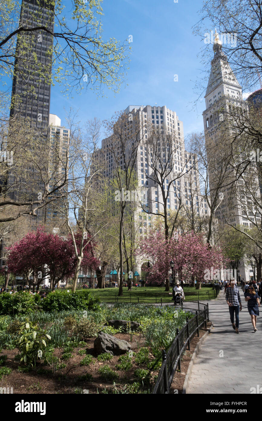 Spring Day, Madison Square Park and Skyline, NYC Stock Photo - Alamy