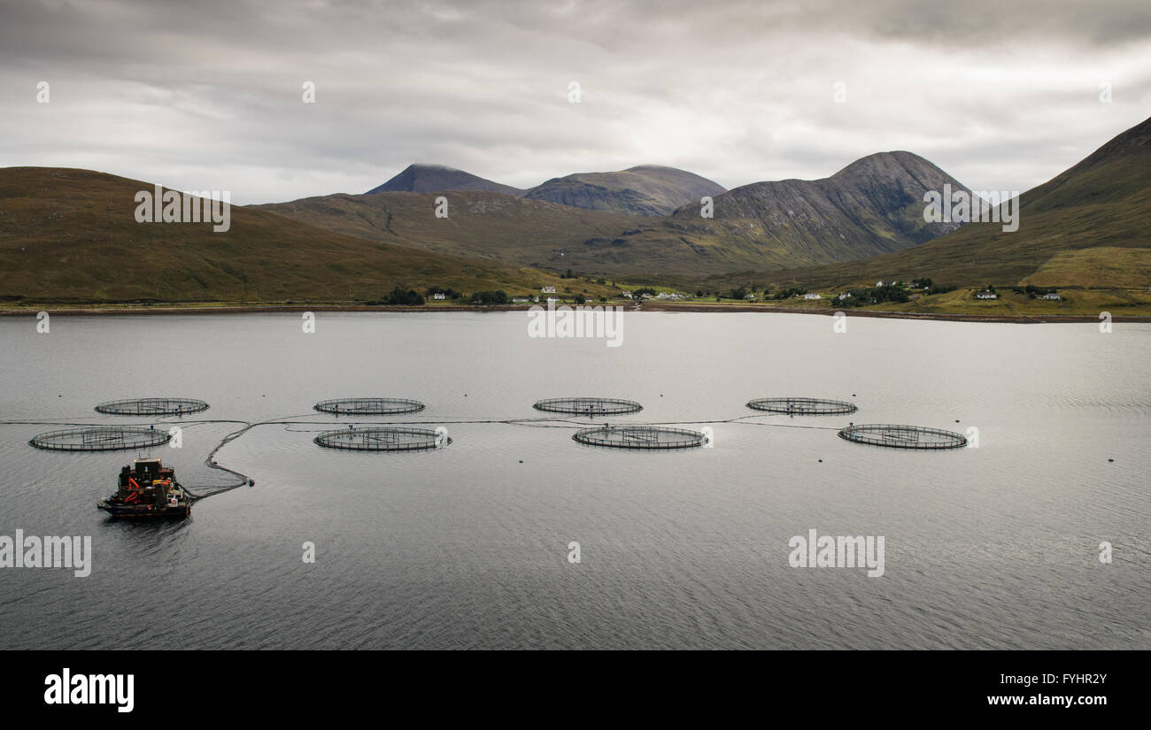 A salmon fish farm in Loch Ainort on the Isle of Skye in the Highlands ...