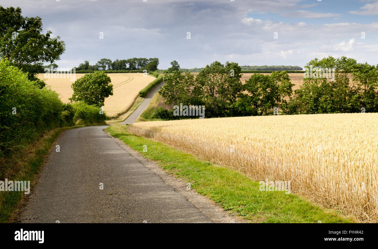 A narrow country lane runs through arable farmland in the Uttlesford ...