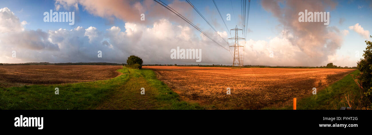 Pylons marching across farmland in the Frome Valley, Dorset, at sunrise ...