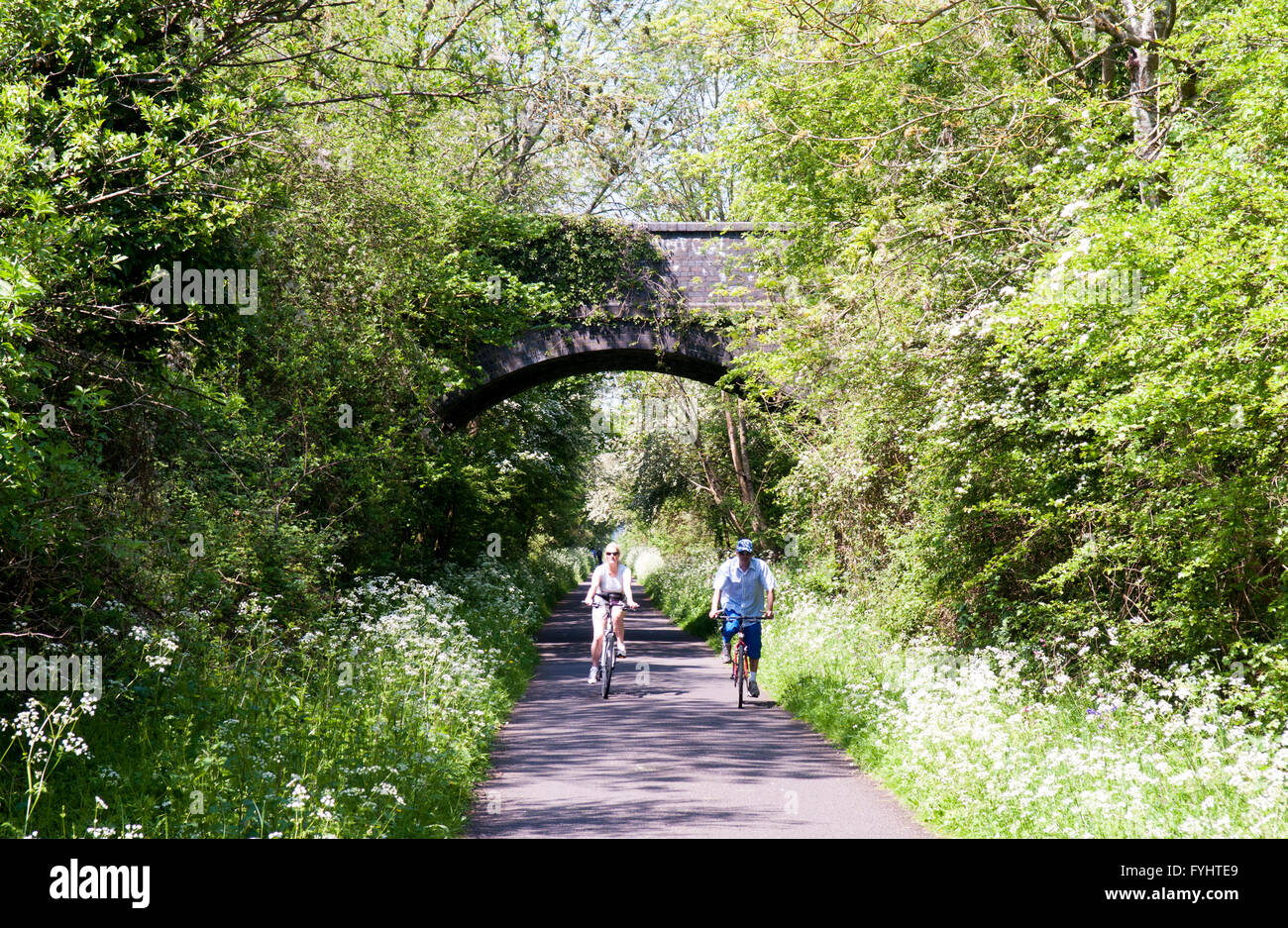 A couple cycling on the Bristol and Bath Railway Path in spring Stock ...