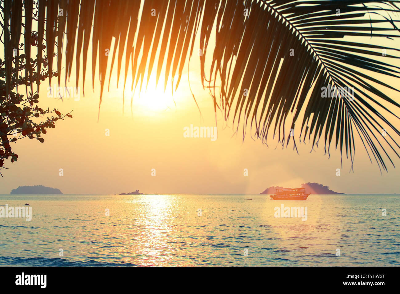 Palm tree over the ocean at amazing sunset Stock Photo - Alamy