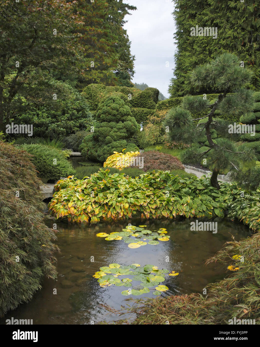 Bushes island hi-res stock photography and images - Alamy