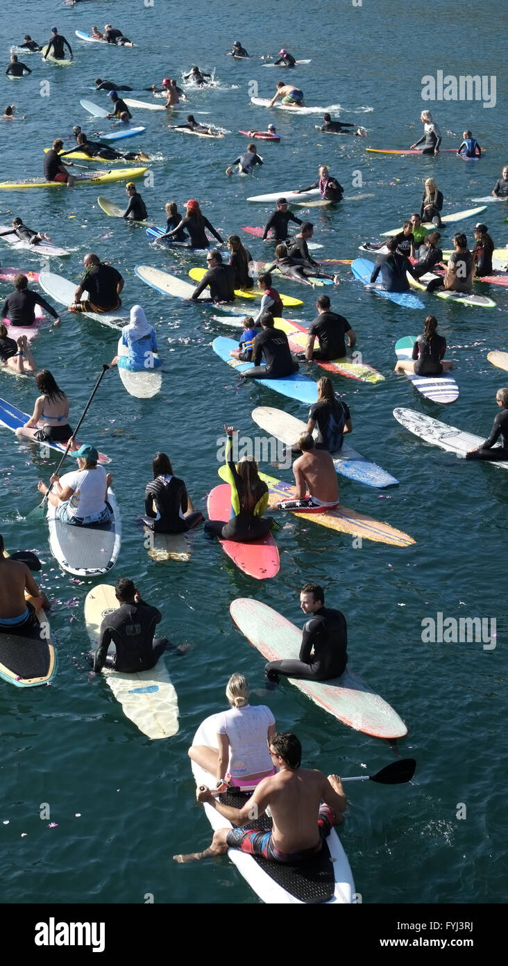 Viele surfer hi-res stock photography and images - Alamy