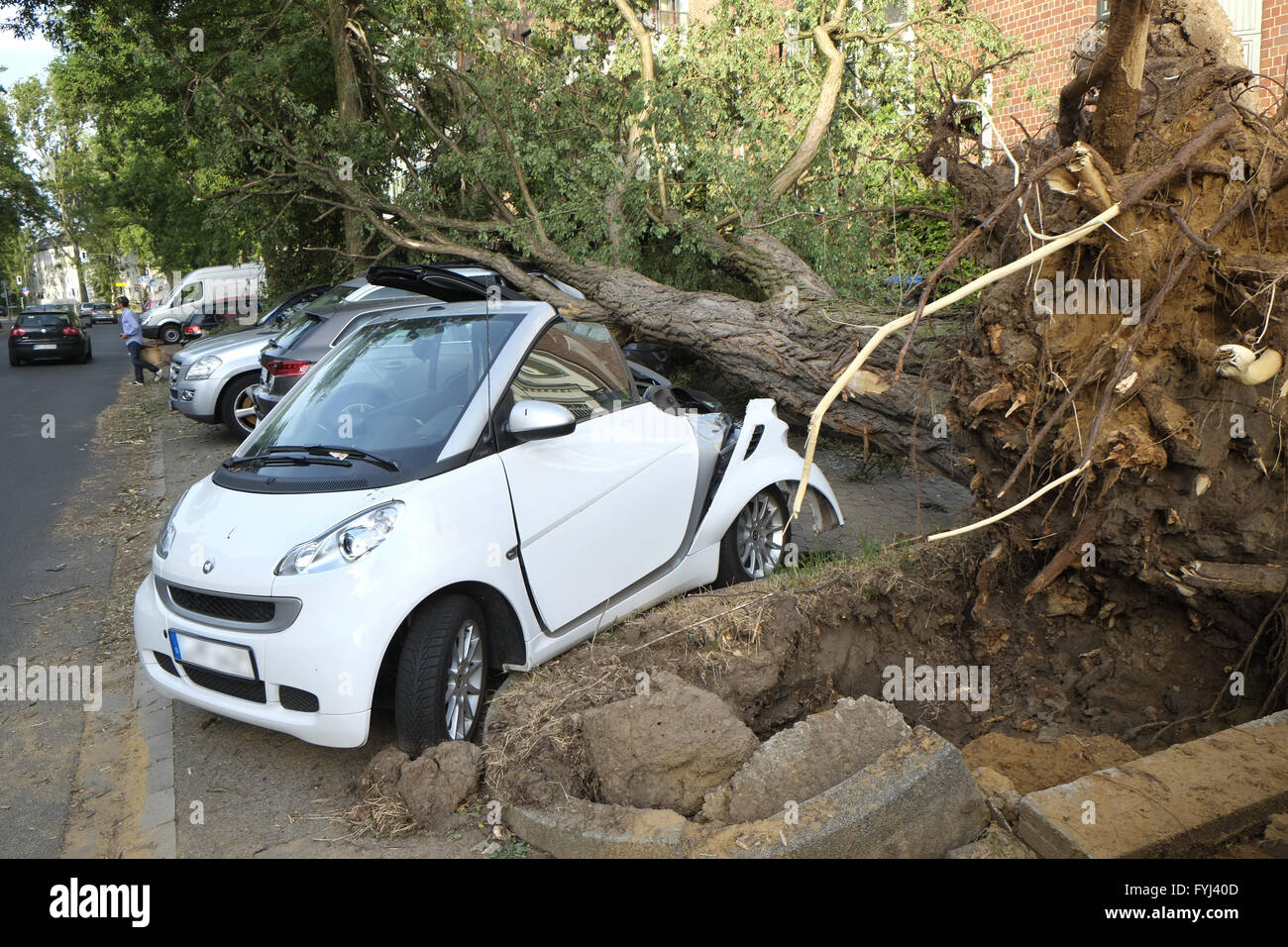 Car wreck under overturned tree Stock Photo - Alamy