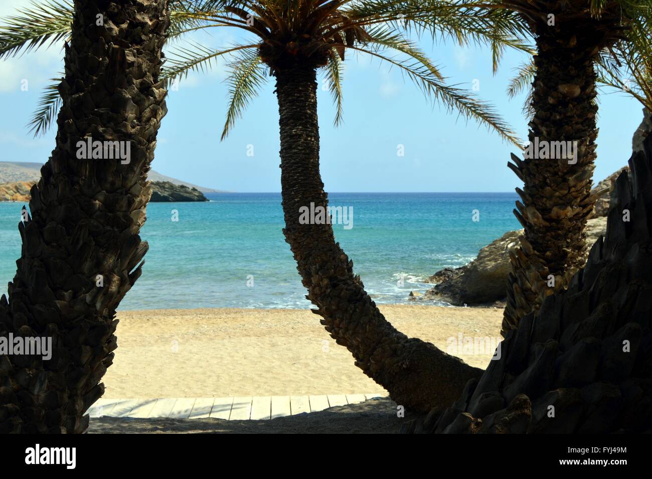 A beach in Crete with rocks and palm trees Stock Photo - Alamy