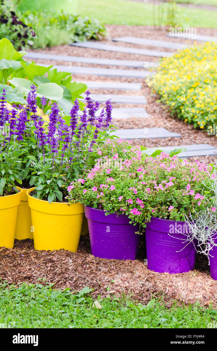 Large plant pots with flowers in the garden, close-up Stock Photo - Alamy