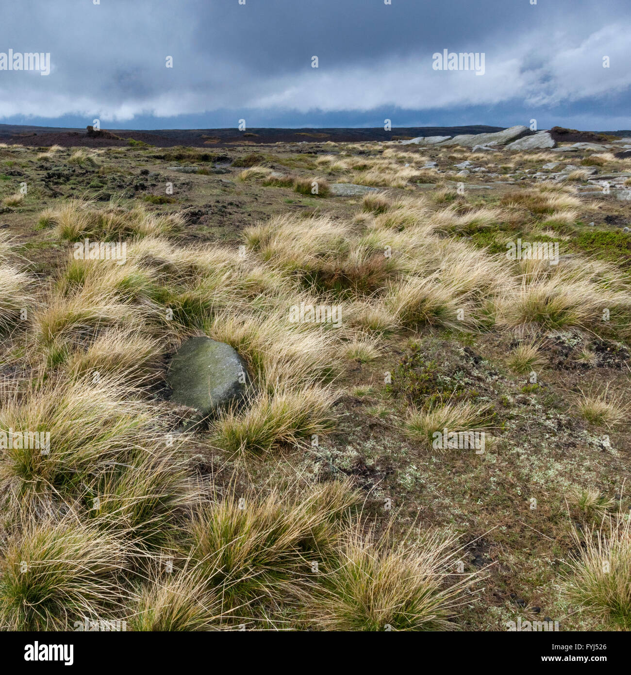 Bad weather in uk hi-res stock photography and images - Alamy
