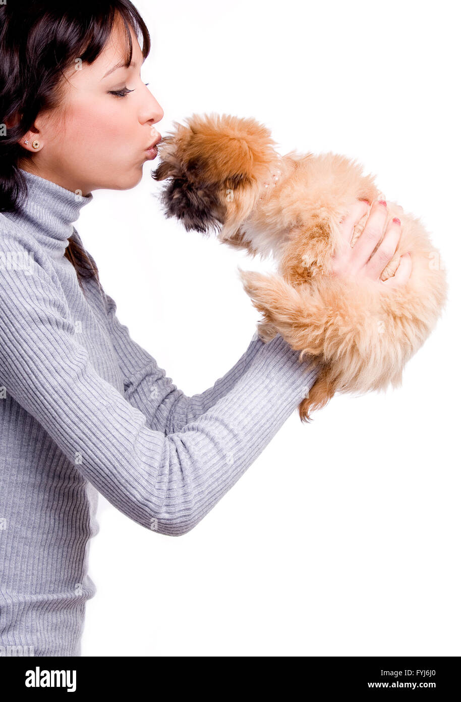 Kiss the puppy Stock Photo - Alamy