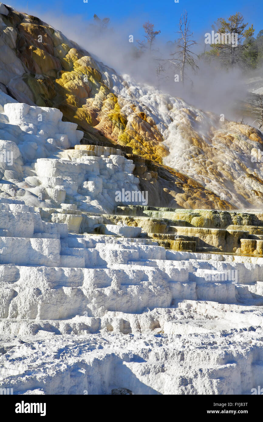 The well-known calcareous travertine in Yellowstone Stock Photo - Alamy