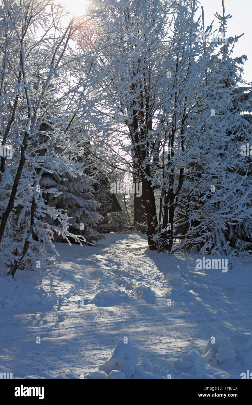 Sunny winter morning. Rolled snowy trails in mountains Stock Photo - Alamy