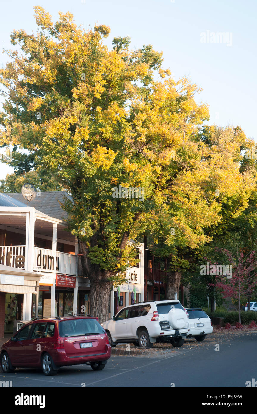 Bright town victoria High Resolution Stock Photography and Images - Alamy