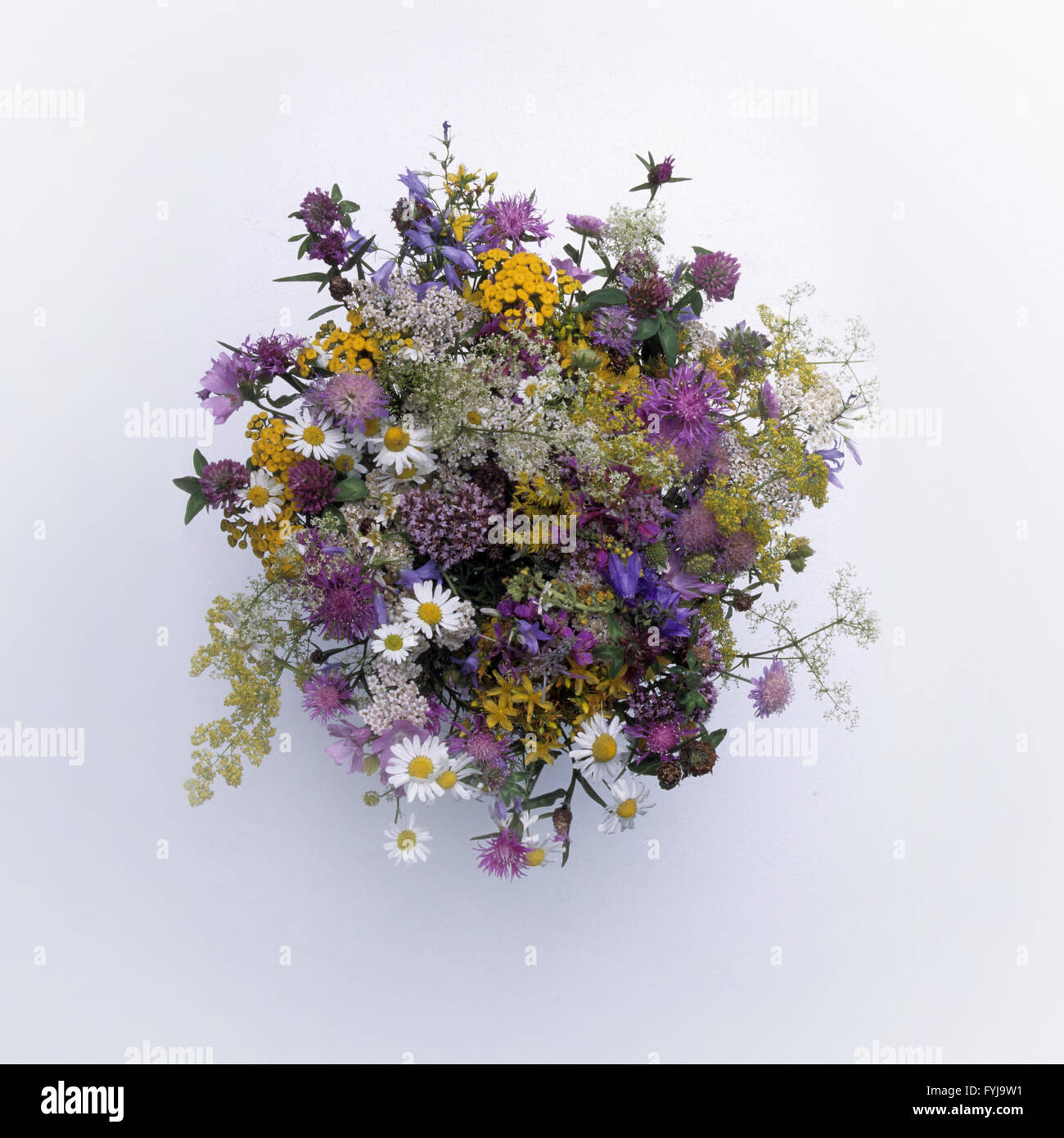 Bouquet of wildflowers Stock Photo - Alamy