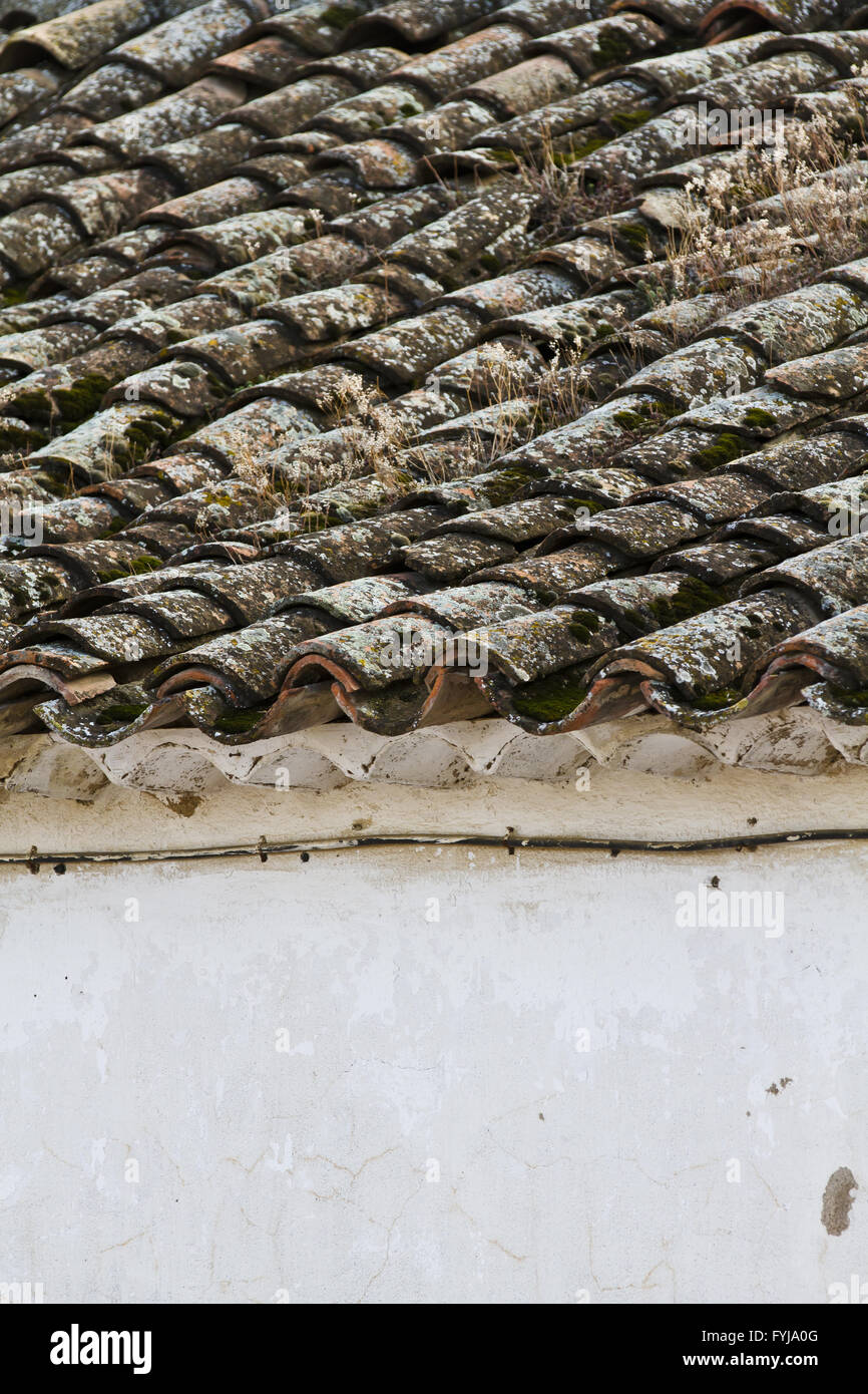 detail of roof clay tiles Stock Photo - Alamy