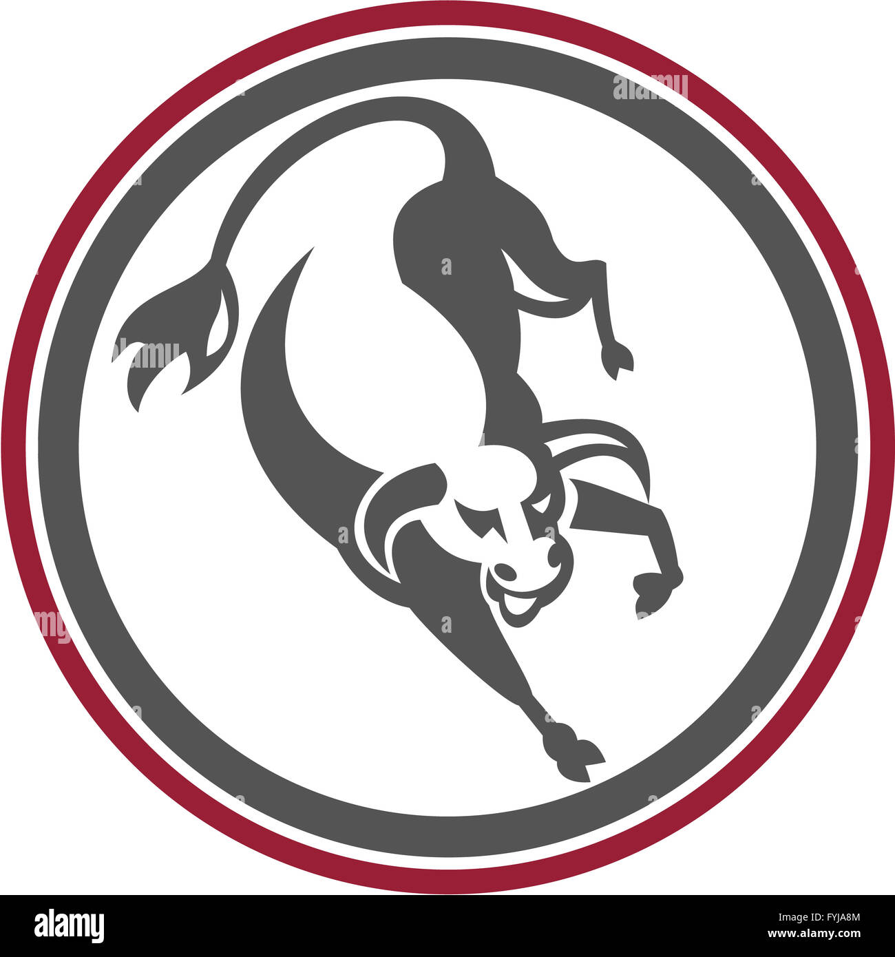 Charging cow hi-res stock photography and images - Alamy