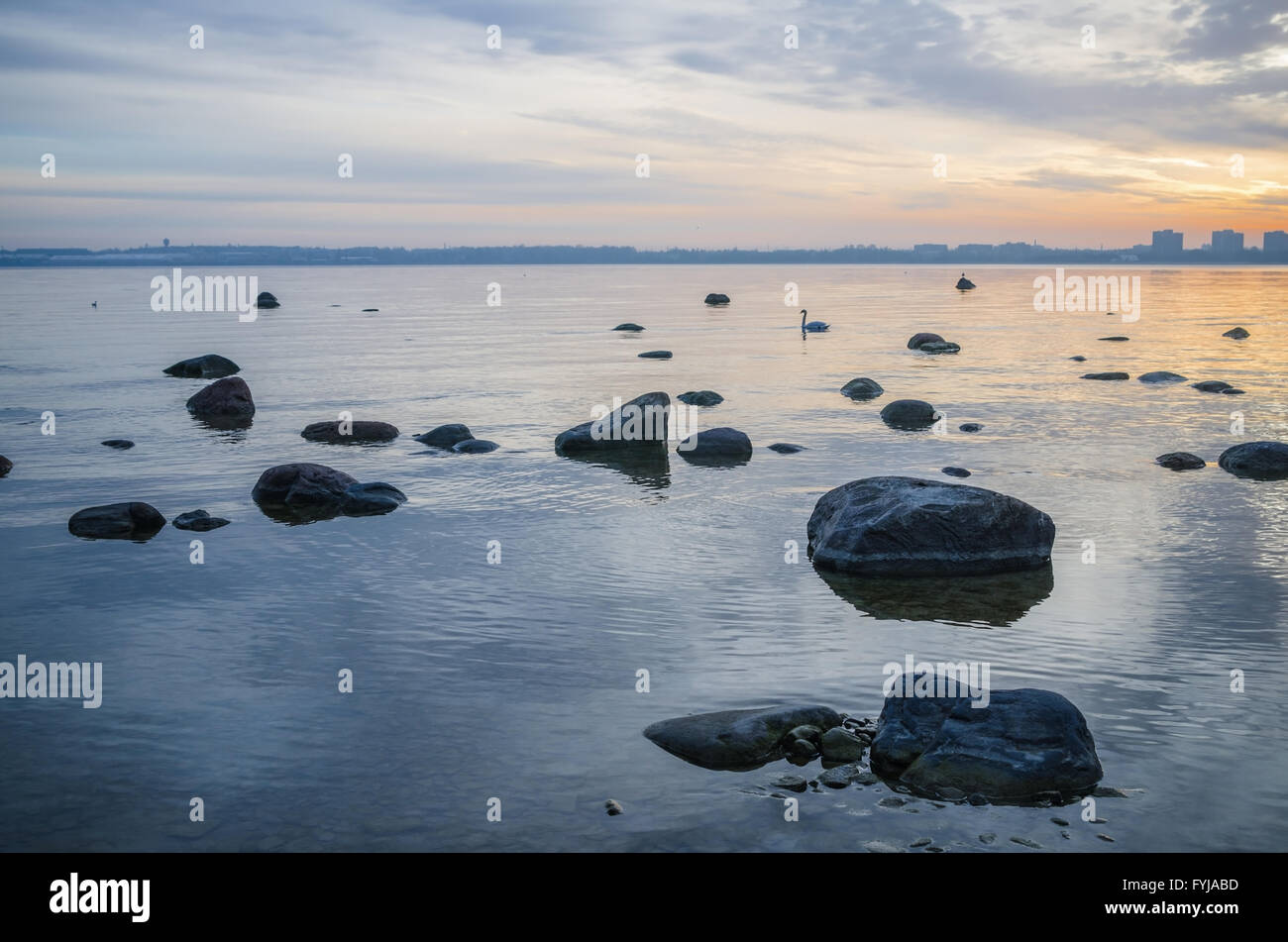 Beautiful sunrise on the sea. Views of Tallinn Stock Photo - Alamy