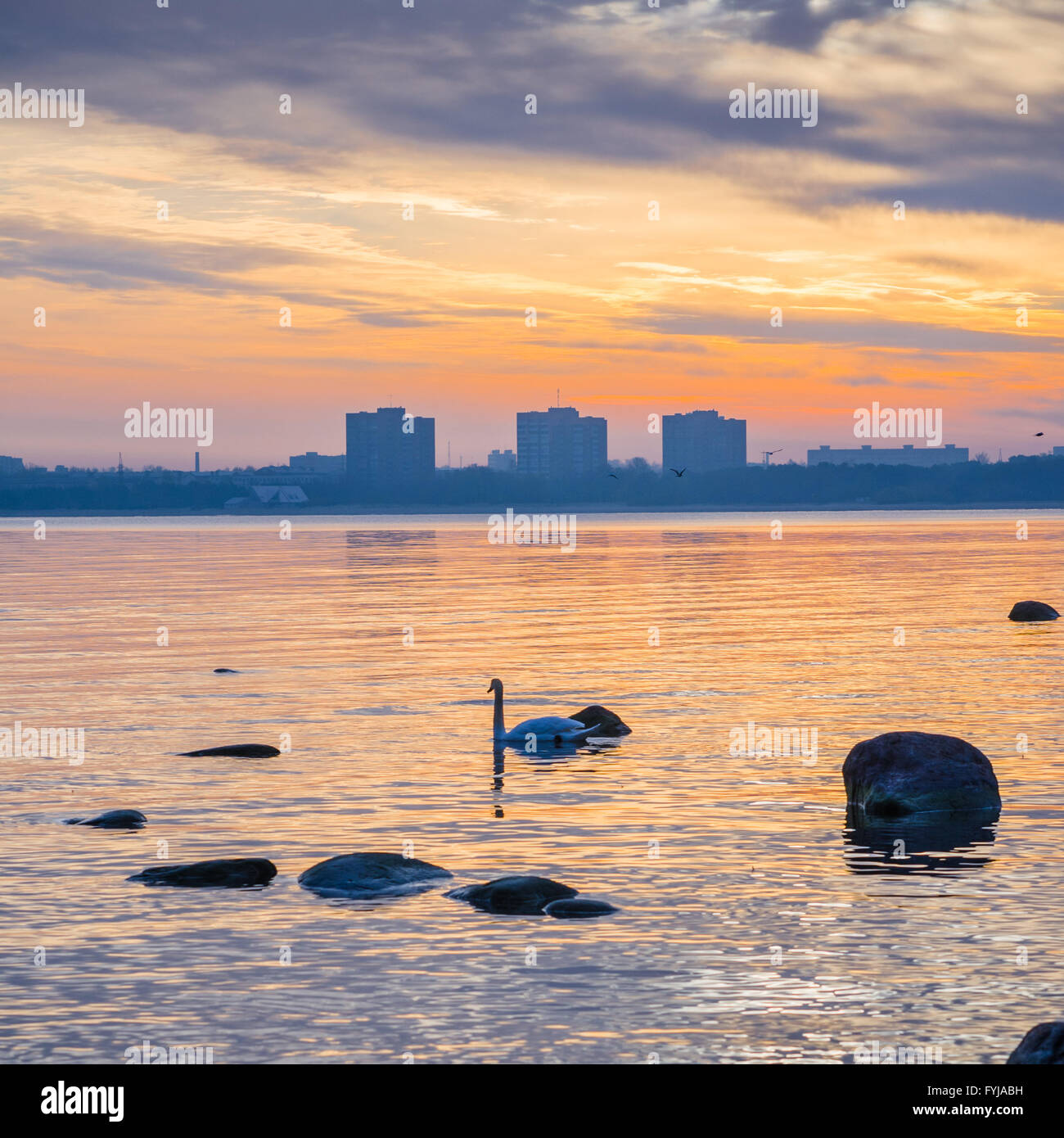 Beautiful sunrise on the sea. Views of Tallinn Stock Photo - Alamy