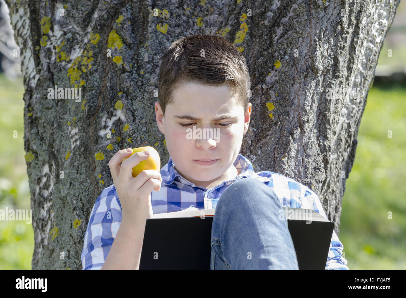 Young boy reading a book in the woods with shallow depth of field and ...