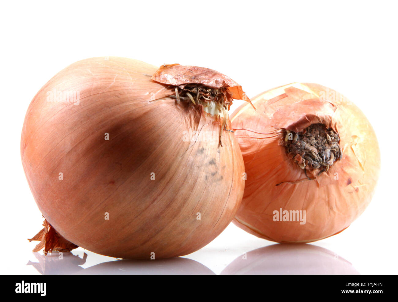 Fresh onion bulbs isolated on white background Stock Photo - Alamy