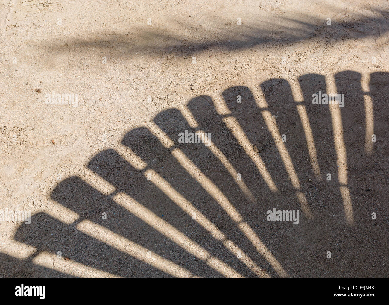 Palm trees cast shadows on the smooth golden sand Stock Photo - Alamy