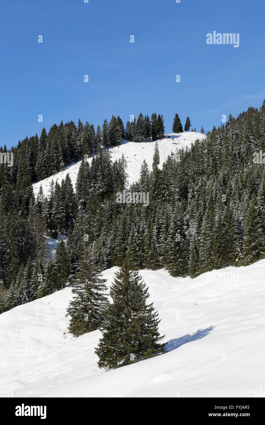 Wald Landschaft in den Bergen mit Schnee im Winter Stock Photo - Alamy
