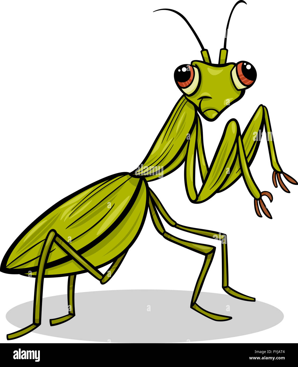 mantis insect cartoon illustration Stock Photo - Alamy