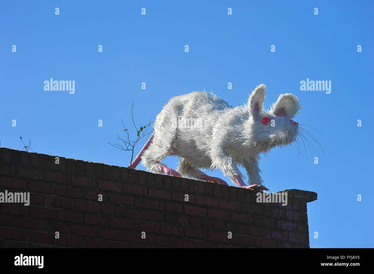 Giant white rat made from recycled plastic bottles on display in ...