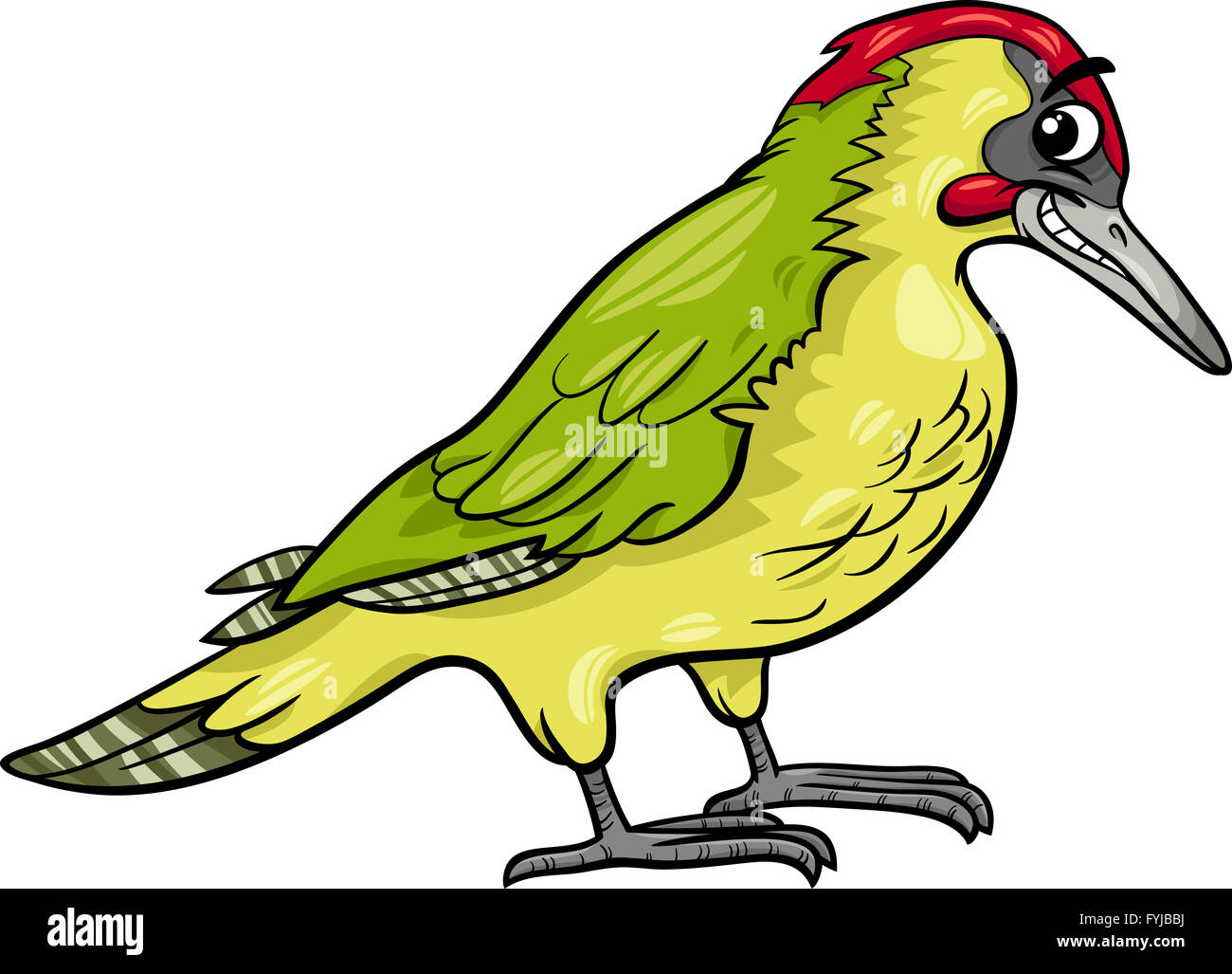 yaffle bird animal cartoon illustration Stock Photo - Alamy