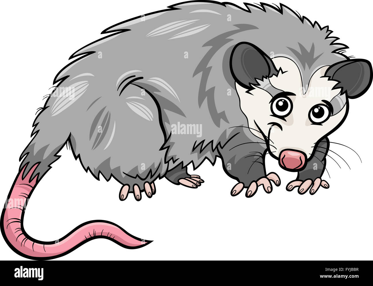 Cartoon opossum hi-res stock photography and images - Alamy