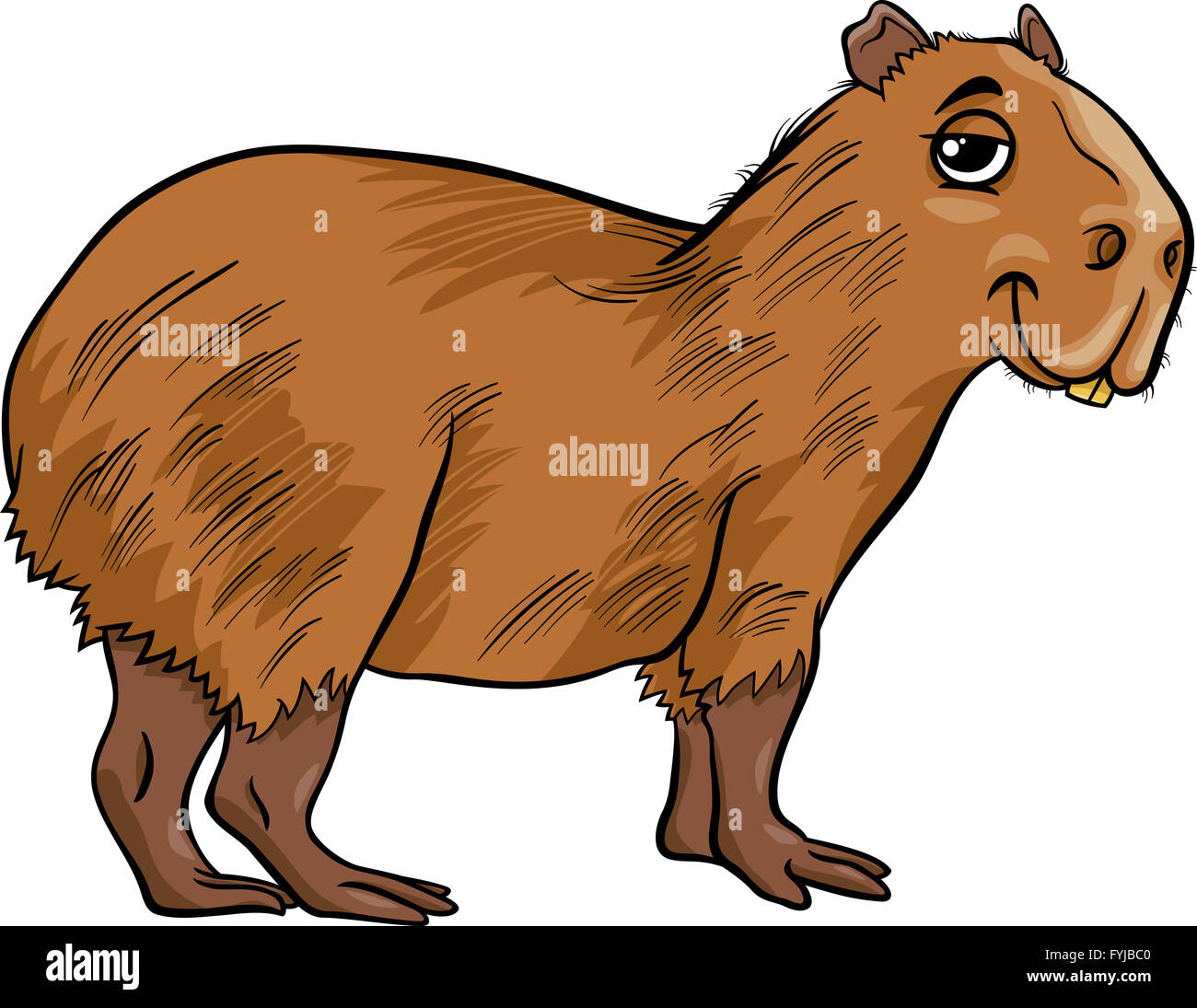 Cartoon capybara hi-res stock photography and images - Alamy