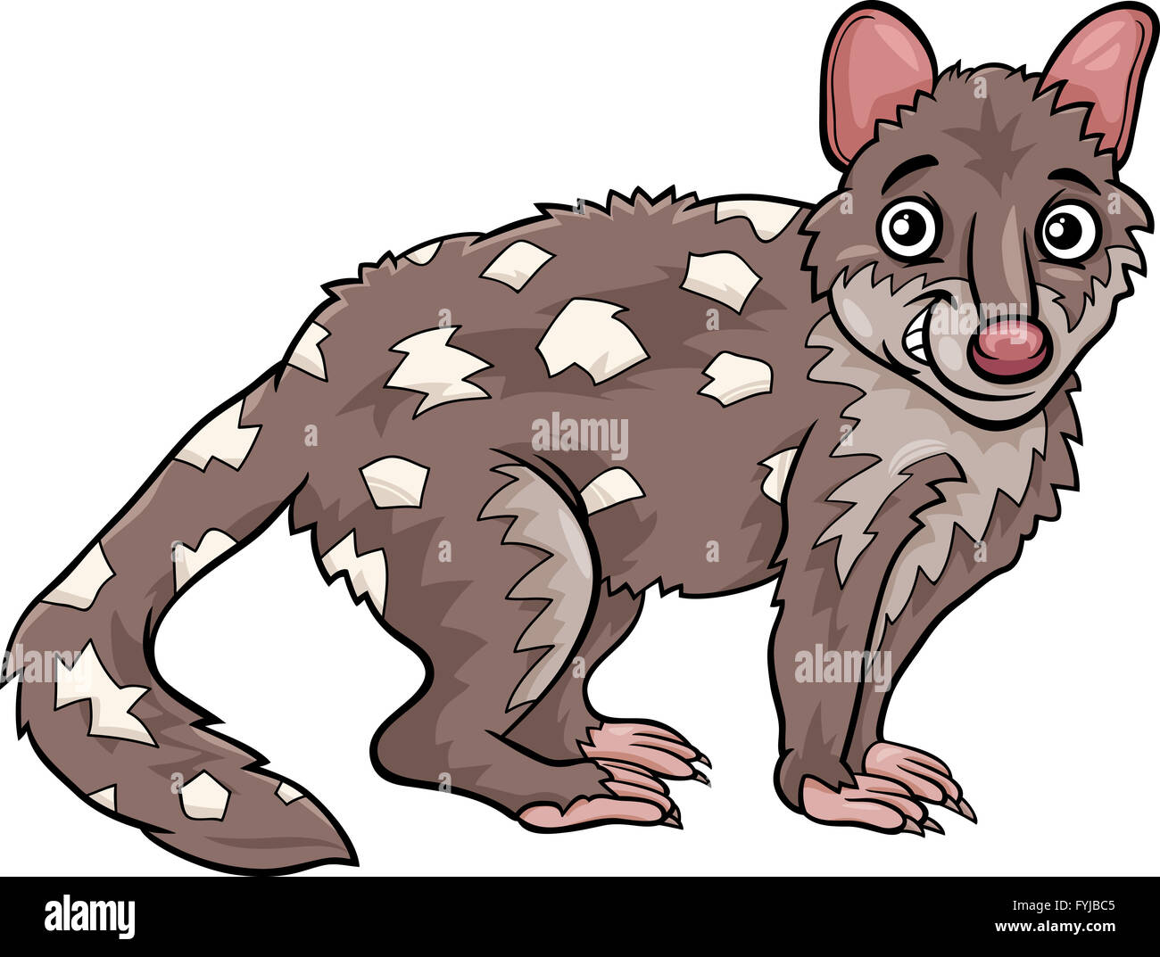 tiger quoll animal cartoon illustration Stock Photo - Alamy