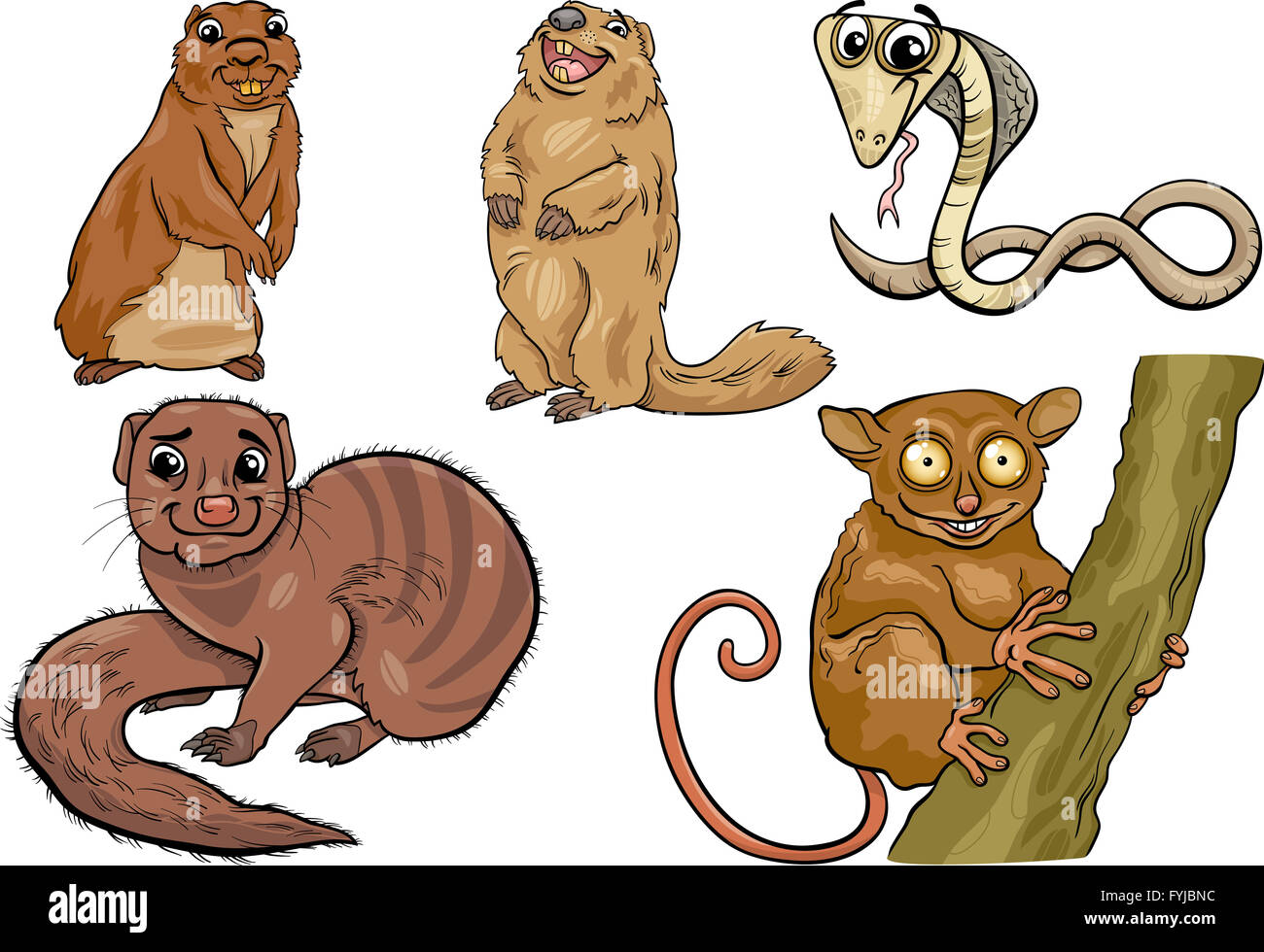 wild animals set cartoon illustration Stock Photo - Alamy