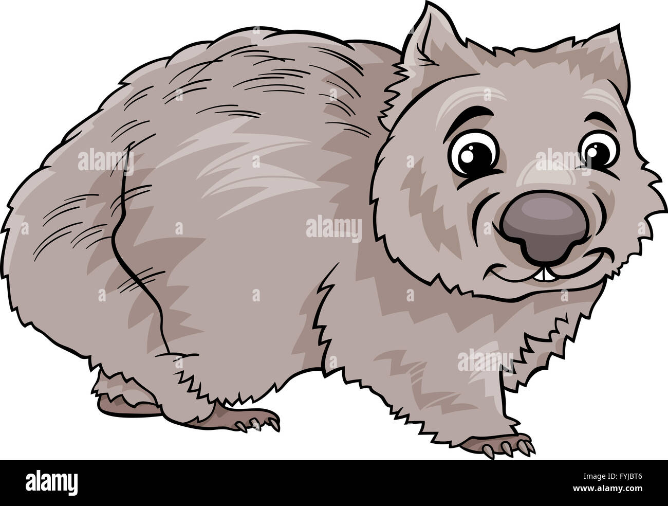 Wombat Cartoon