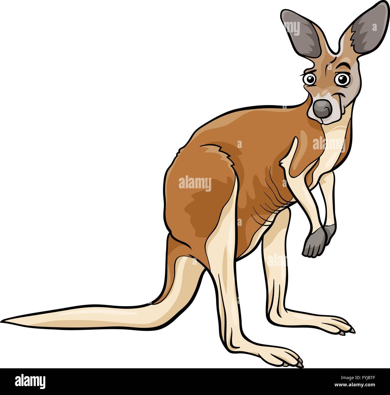 kangaroo animal cartoon illustration Stock Photo - Alamy