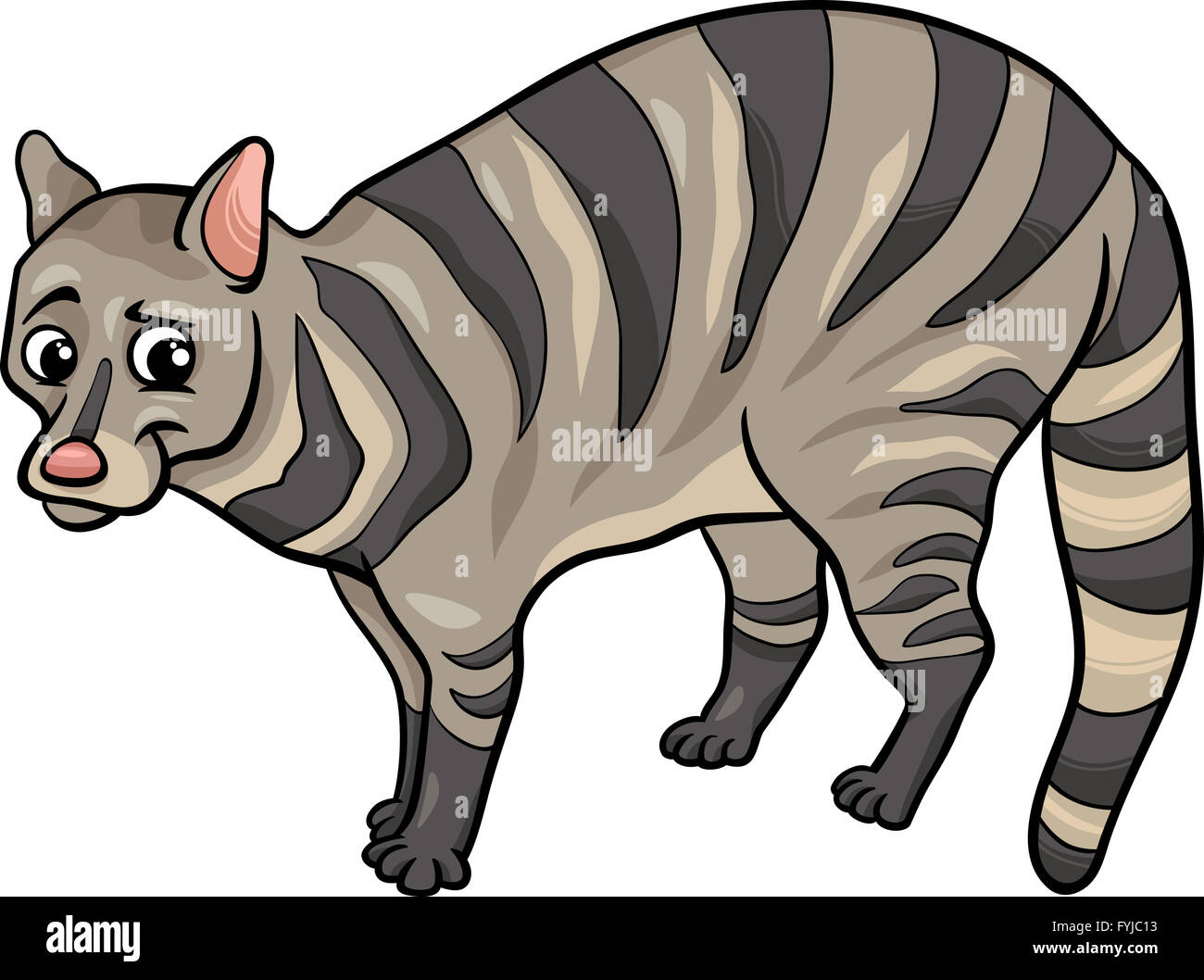 civet animal cartoon illustration Stock Photo - Alamy